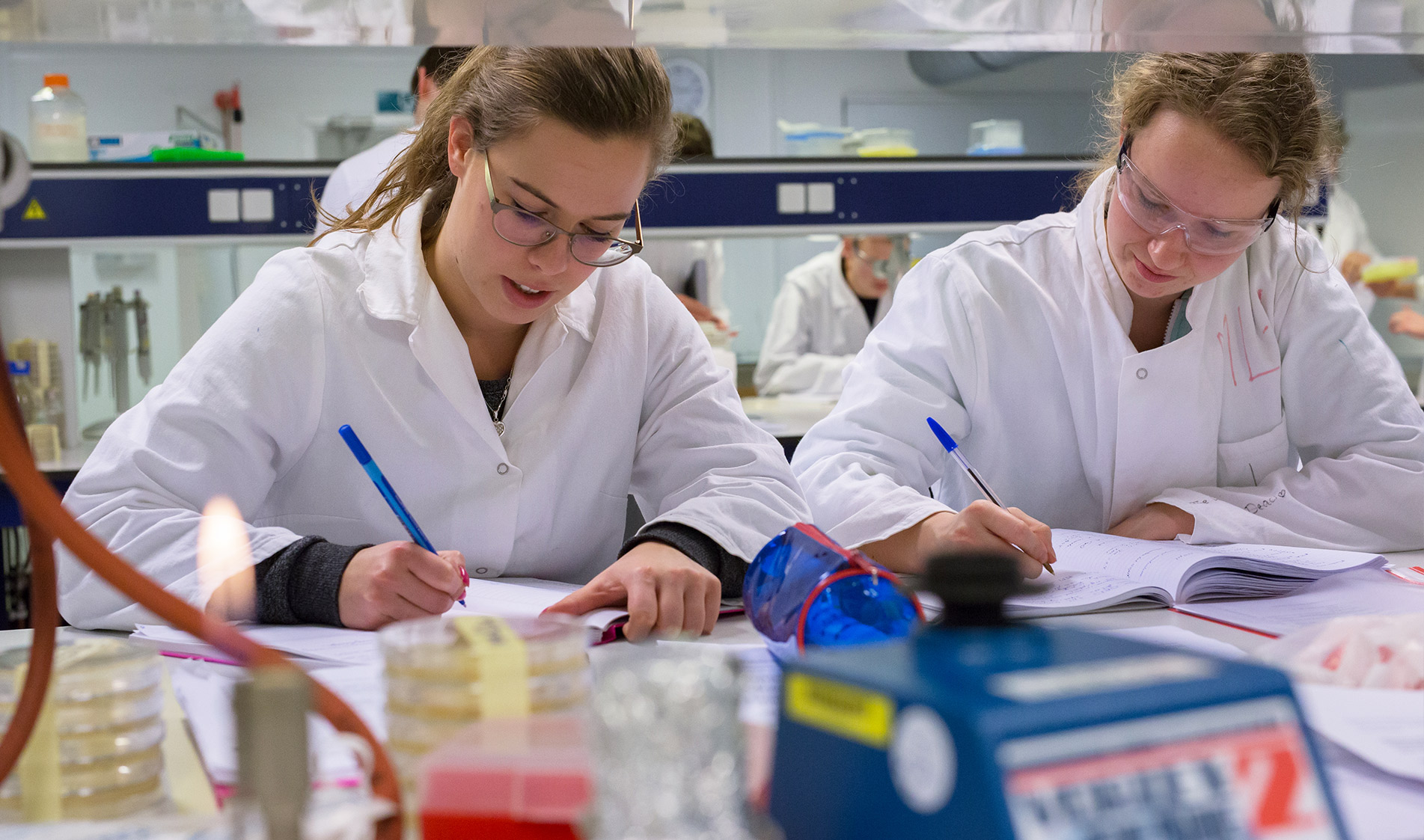 Biologie en Medisch Laboratoriumonderzoek | Inholland