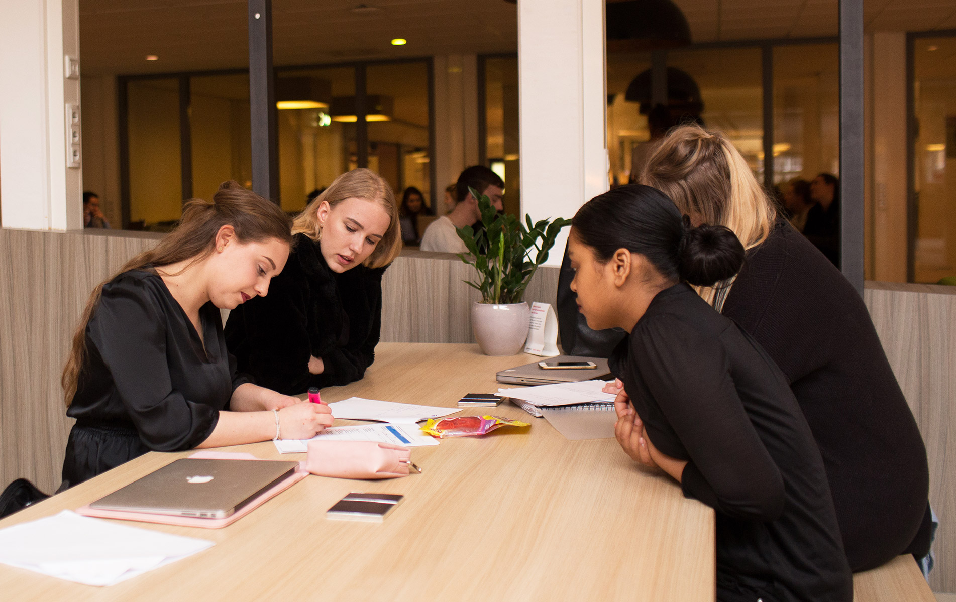 Dutch Grading System - Exchange | Inholland University