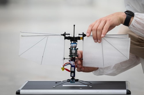 Flappy: innovatieve plaagbestrijding met drones in verticale tuinbouw ...
